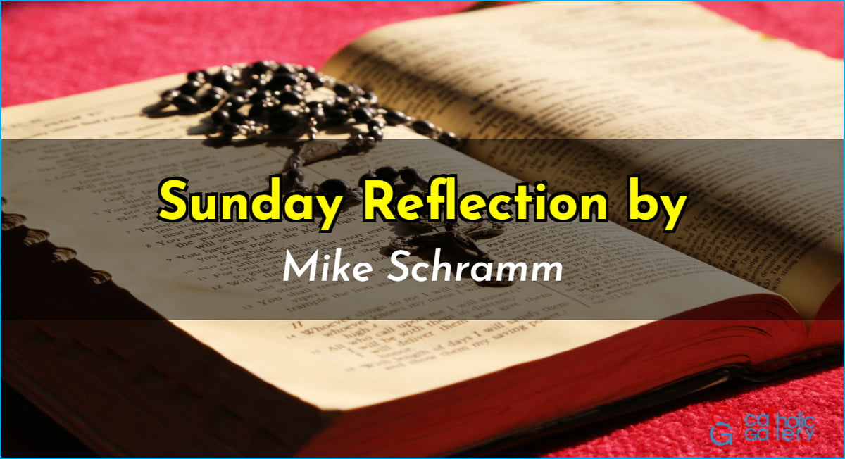 Sunday Reflection by Mike - 09 February 2025 - Catholic Gallery