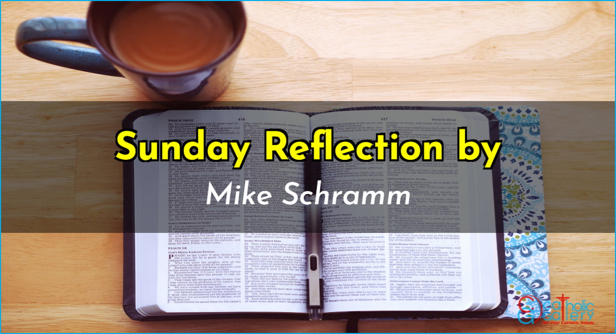Sunday Reflection by Mike - 22 June 2025 - Catholic Gallery