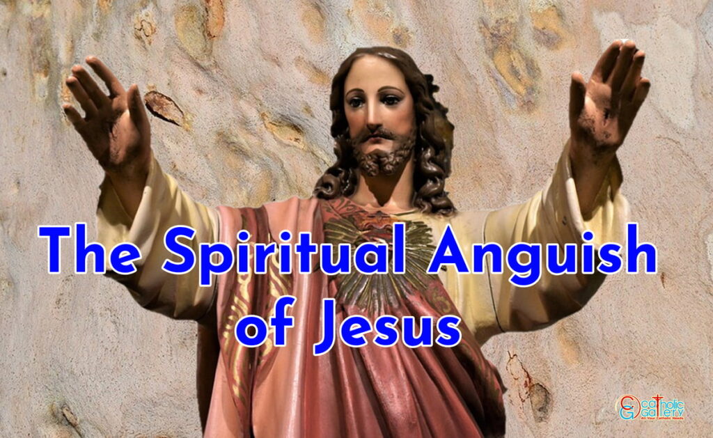 Catholic Gallery - All your Catholic Needs